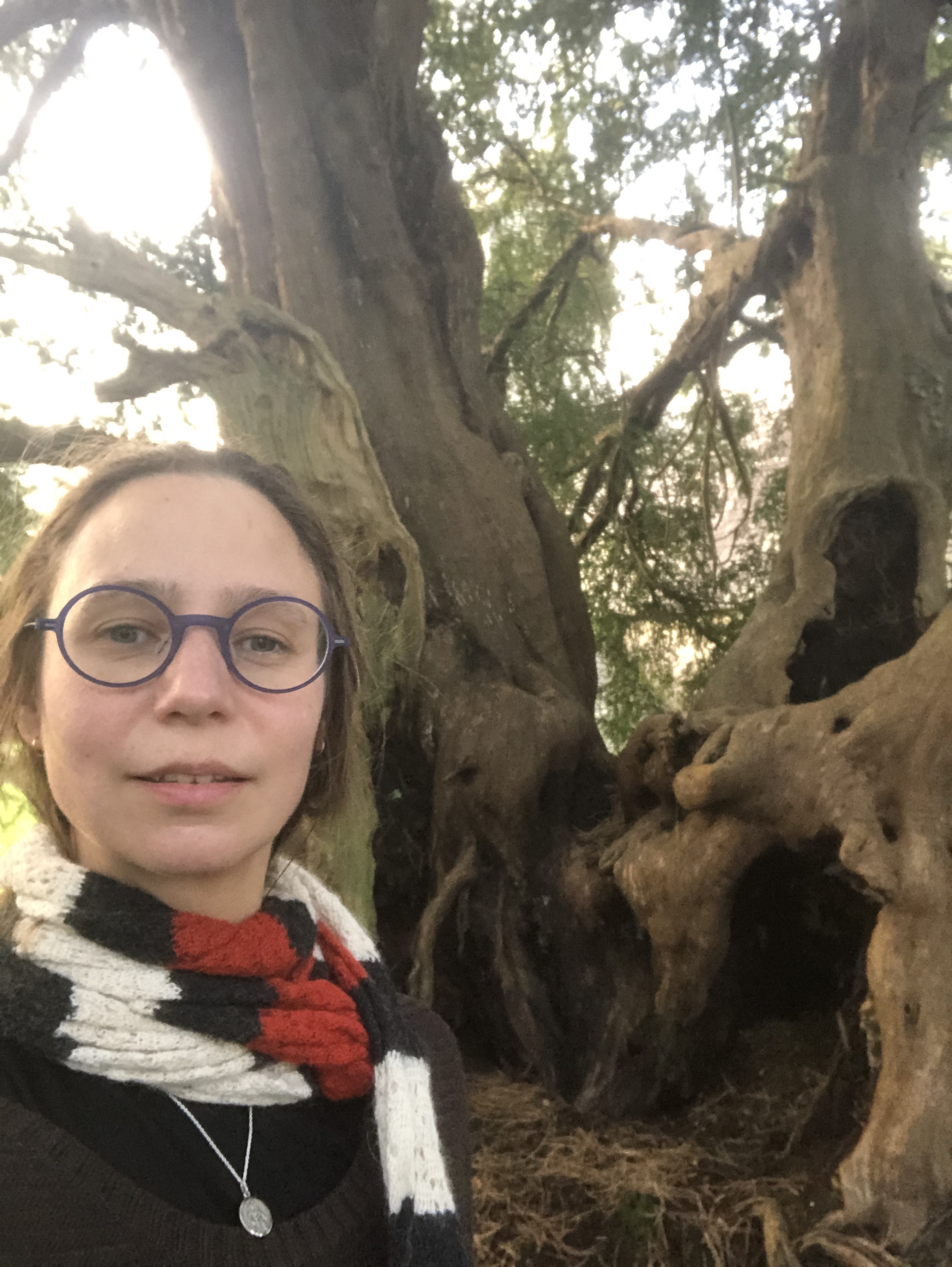 Saint Brides Kate tree 2020 | Kate Moore Music